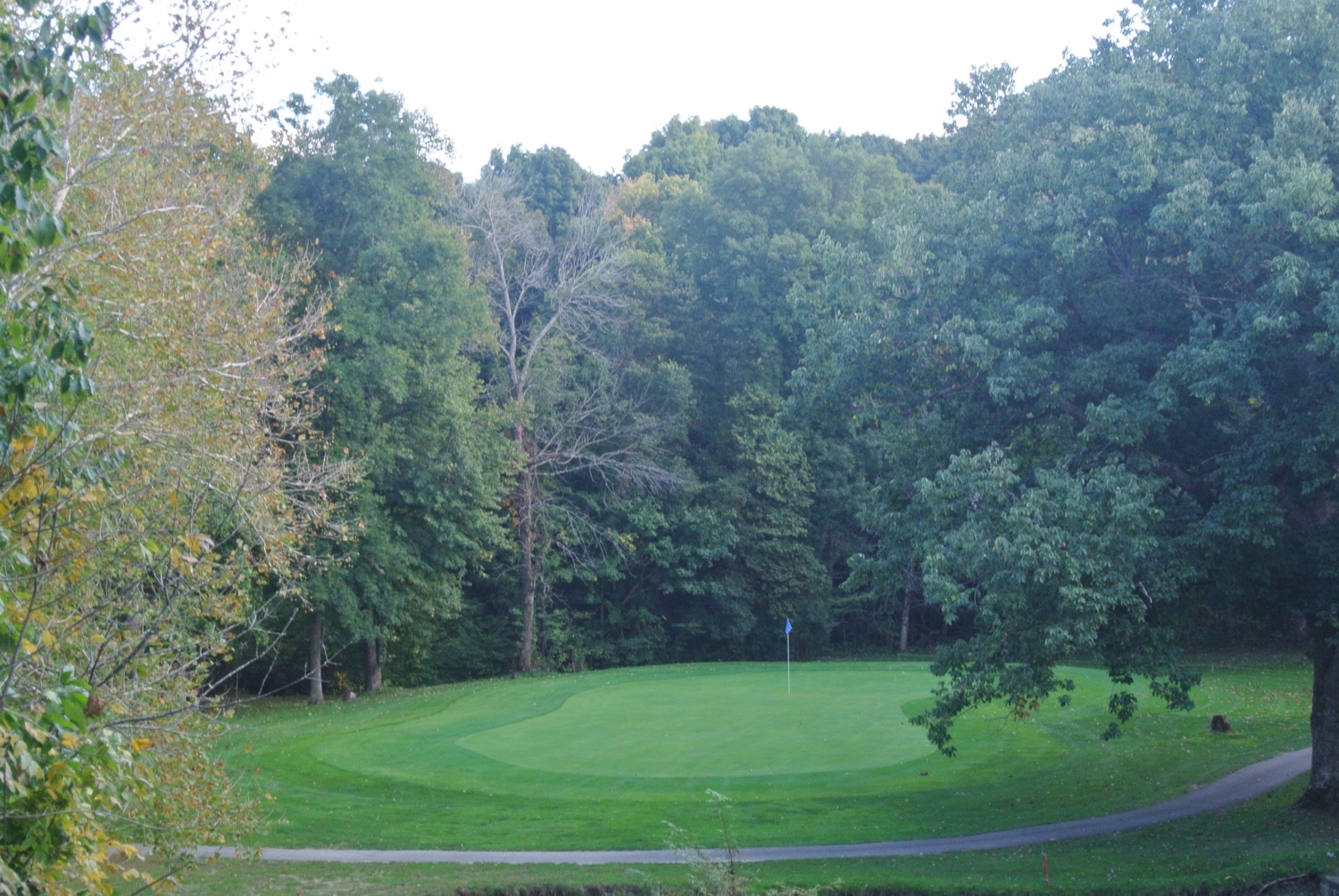 We're Hiring in 2025!! - Deer Track